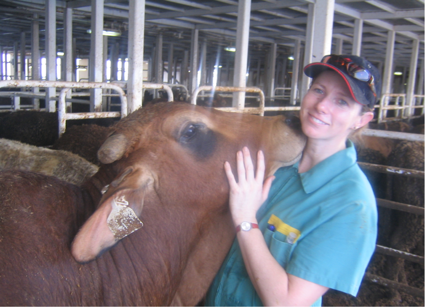 Vet removed for exposing appalling conditions on live export ships ...