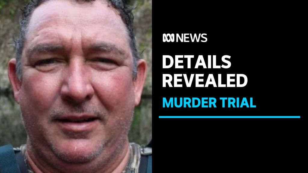 Greg Lynn's panic following bush deaths detailed to court - ABC News