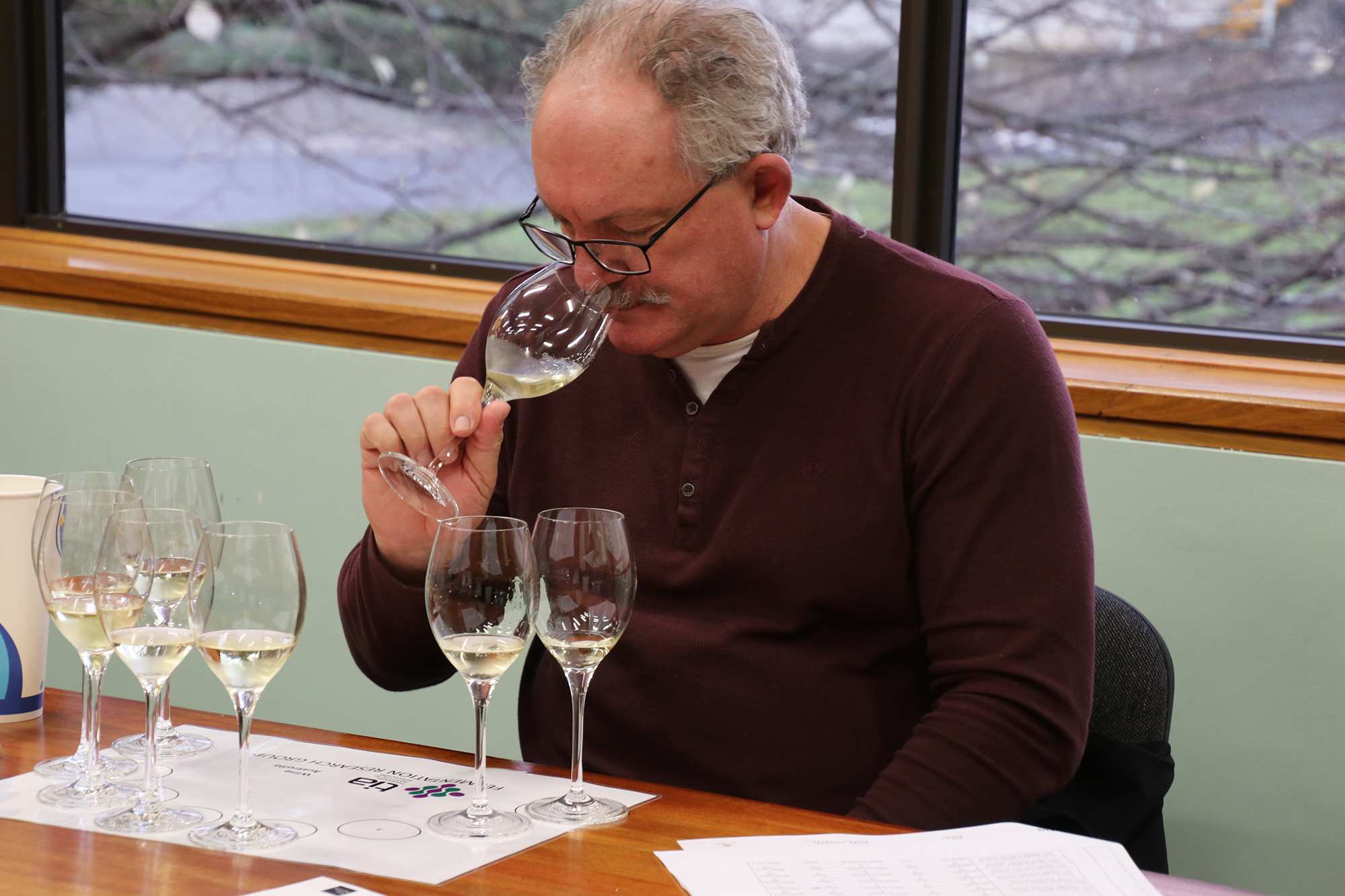 Winemakers and science combine forces in Tasmanian project to find key ...