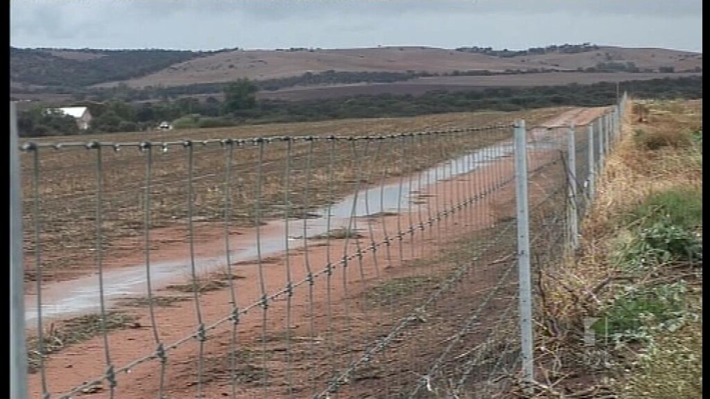 Jessica Brown - ABC News