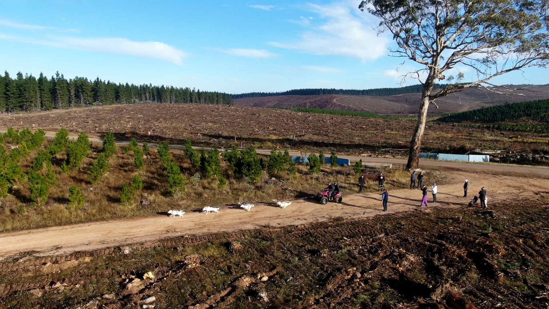 Inside the world of Siberian husky dog-sledding — an ancient practice ...