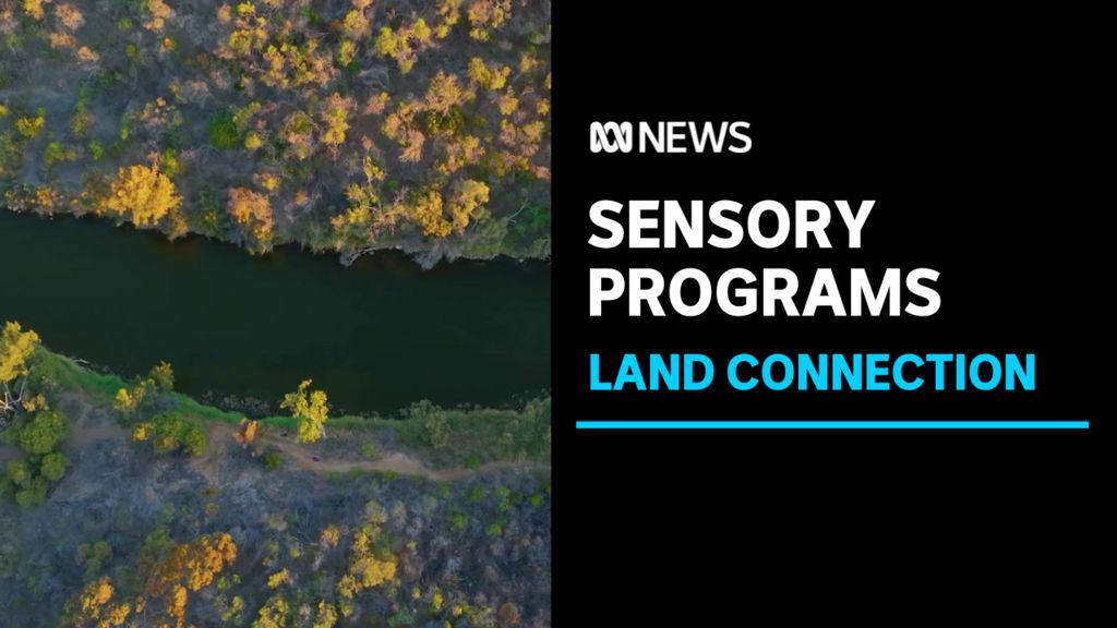 Sensory program aims to connect students to nature - ABC News