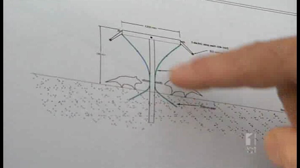 Study completed on fence for devils - ABC News