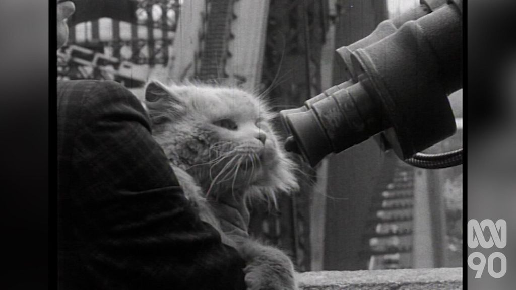 ABC (Australian Broadcasting Corporation)