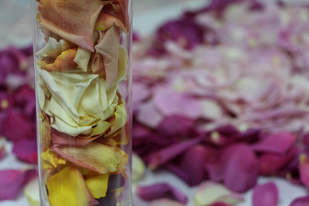 Farming roses to export the petals globally - ABC News