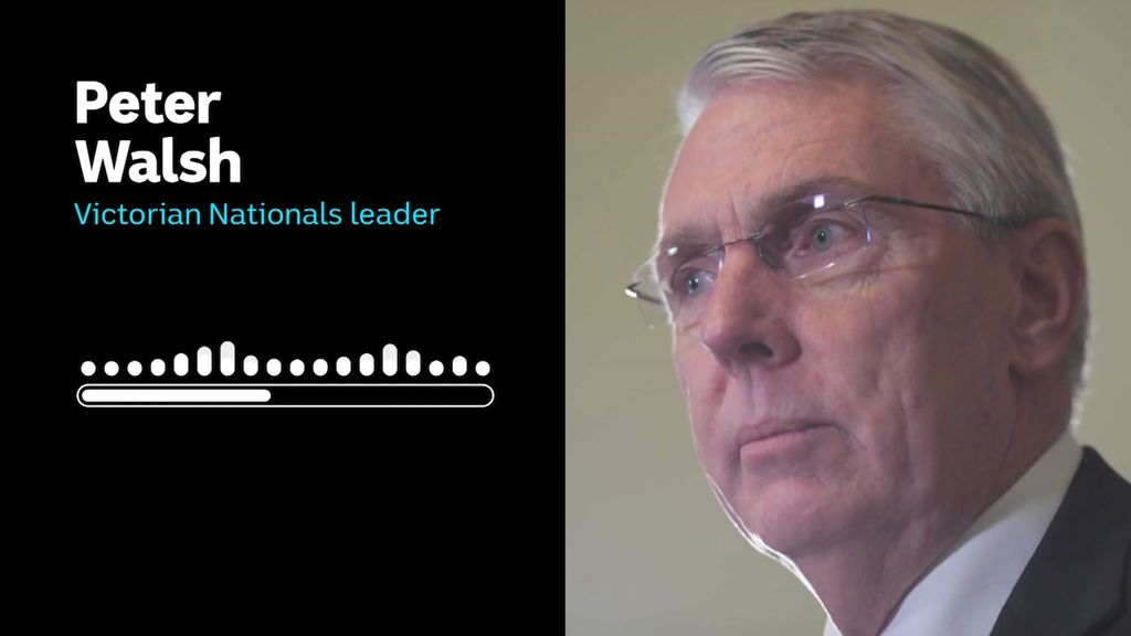 Victorian Nationals leader Peter Walsh says he would not support ...