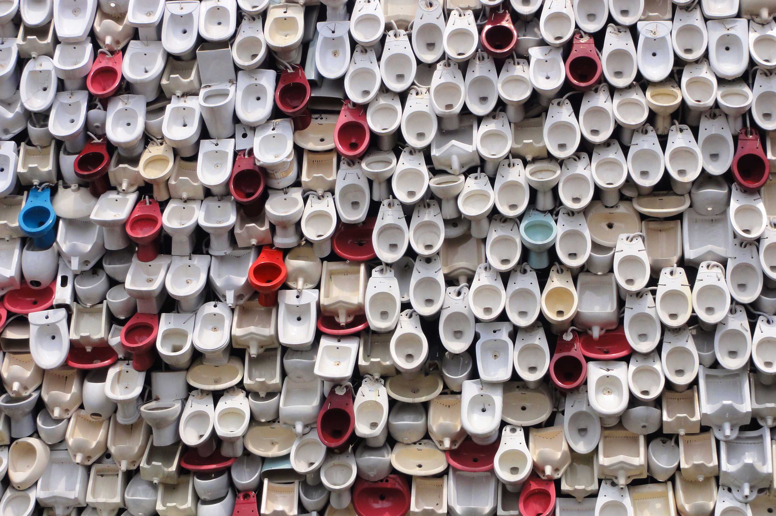 A whole lot of POO! - ABC listen