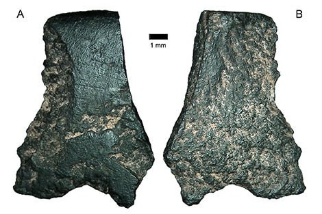 World's oldest known ground-edge stone axe fragments found in Western ...