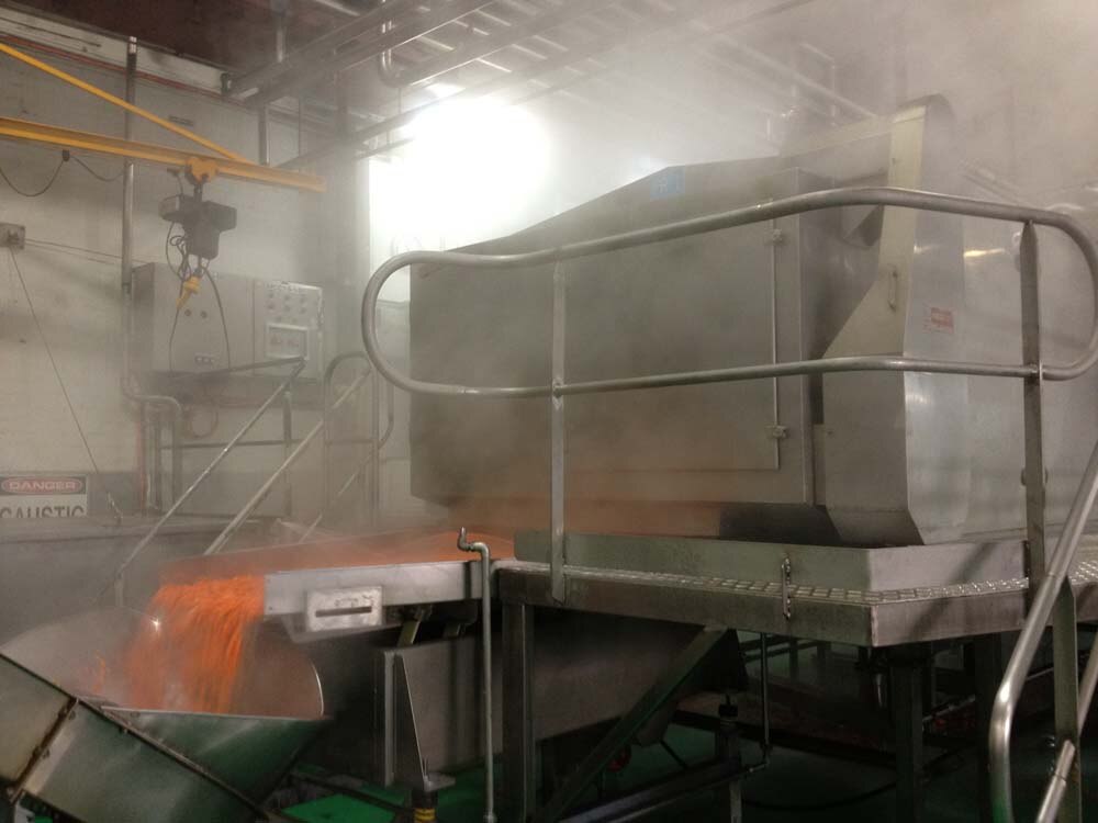 Inside the Simplot processing facility in Devonport - ABC News