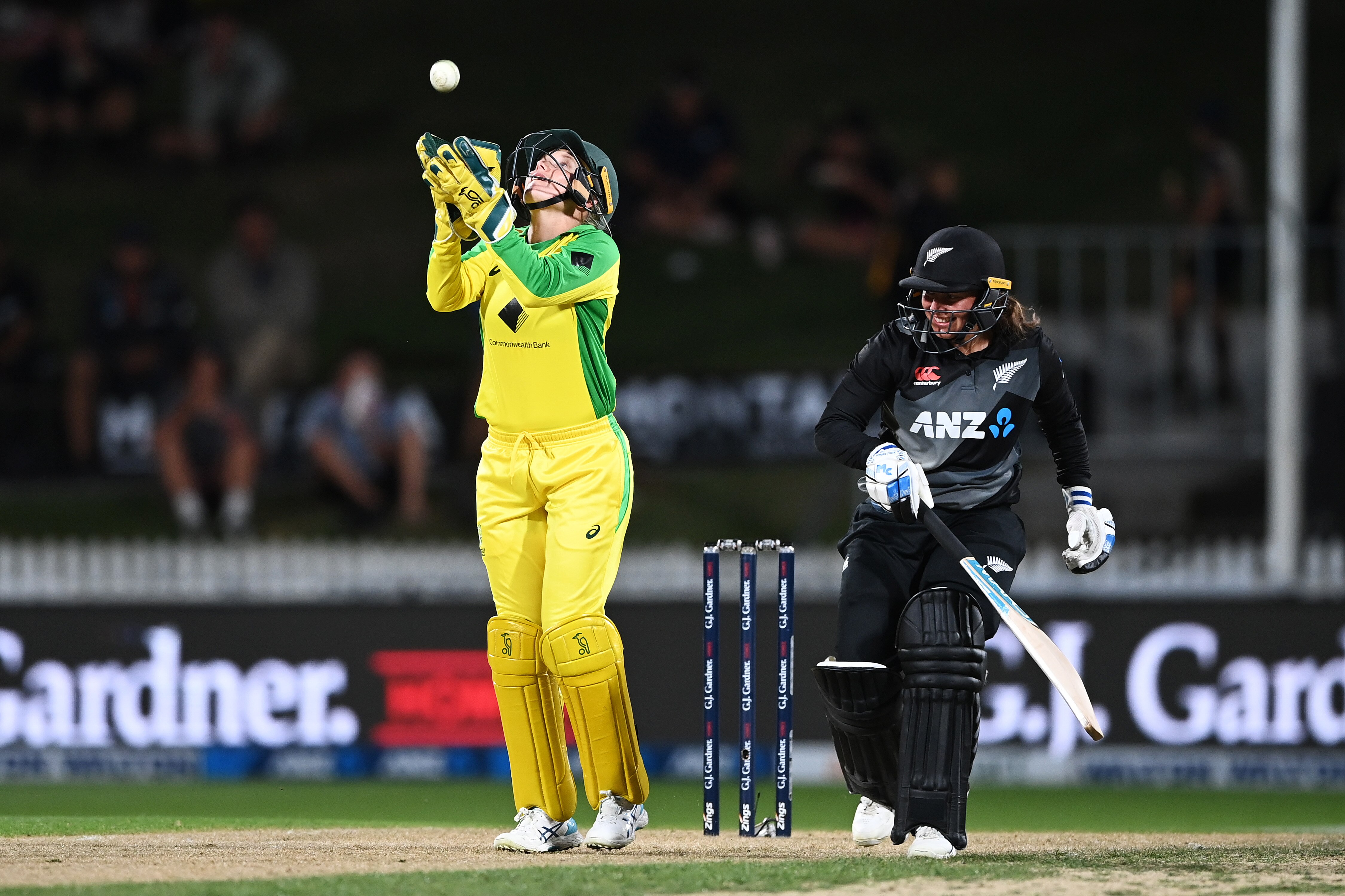 Australia beats New Zealand by six wickets in opening Twenty20 ...