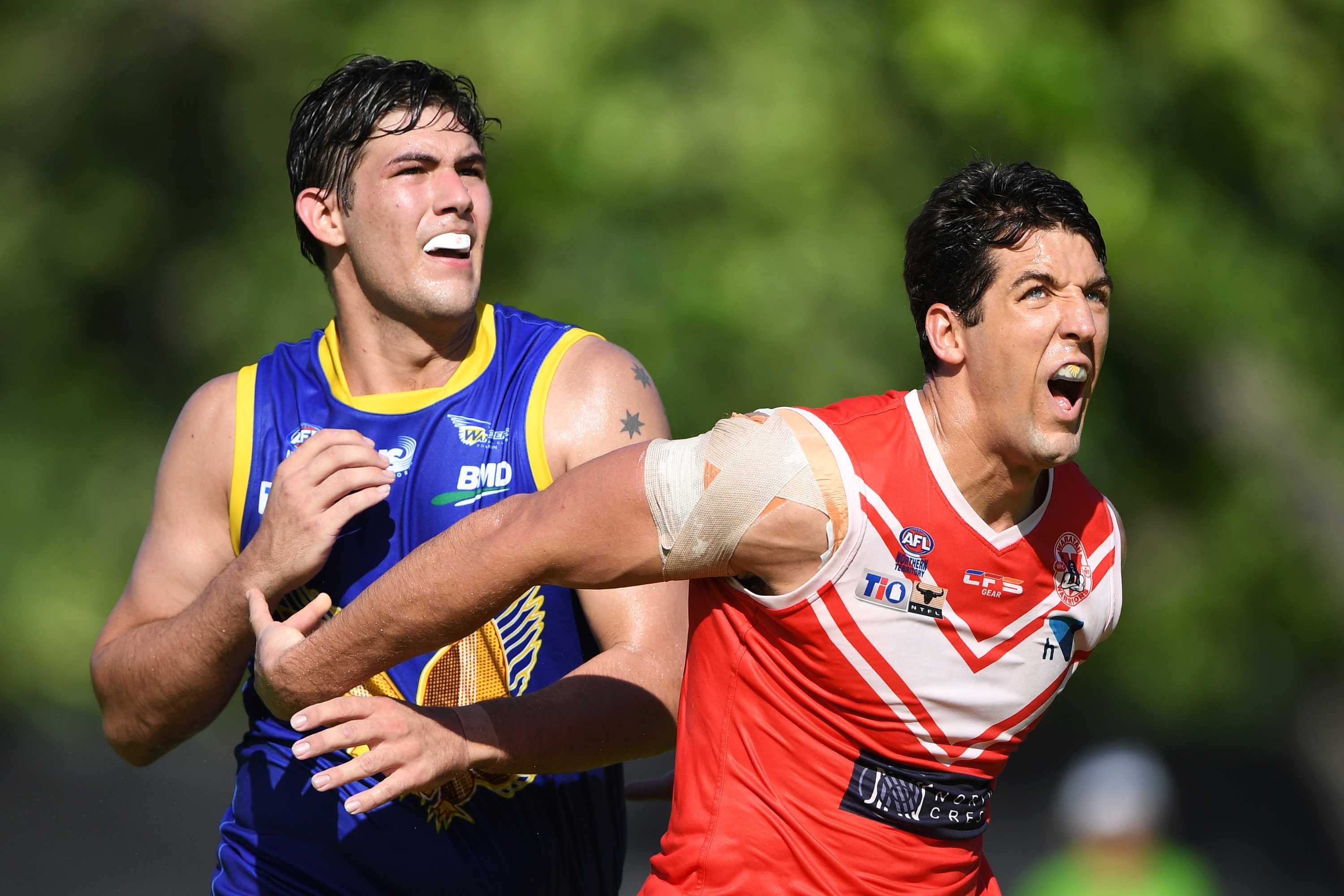 American AFL hopeful Alex Aurrichio remembered as a giant with a love ...