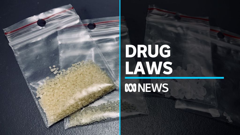Drug diversion programs do not lead to increased drug use - ABC News