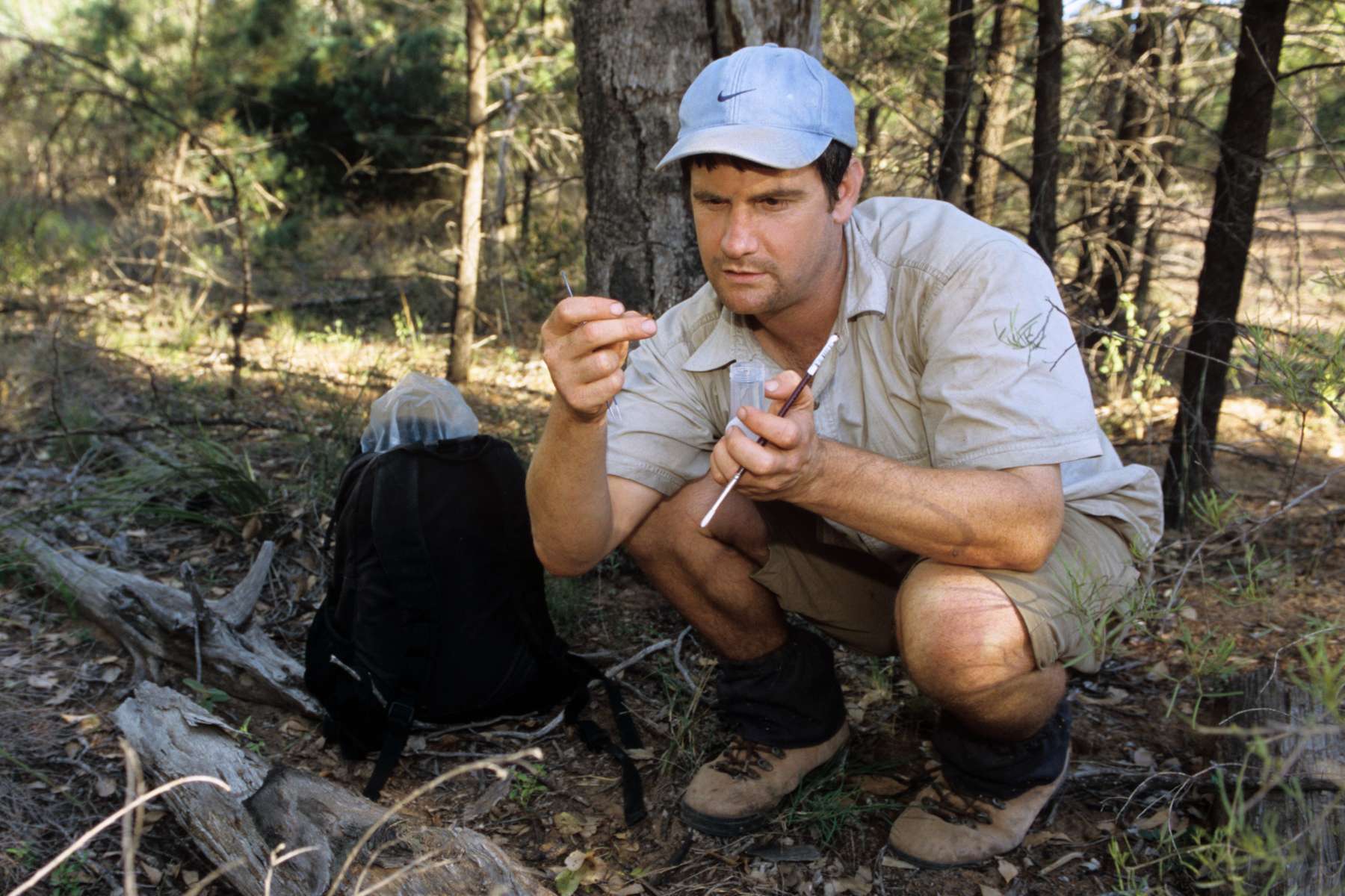 Backyard ant hunt proves no small task for this keen entomologist - ABC News