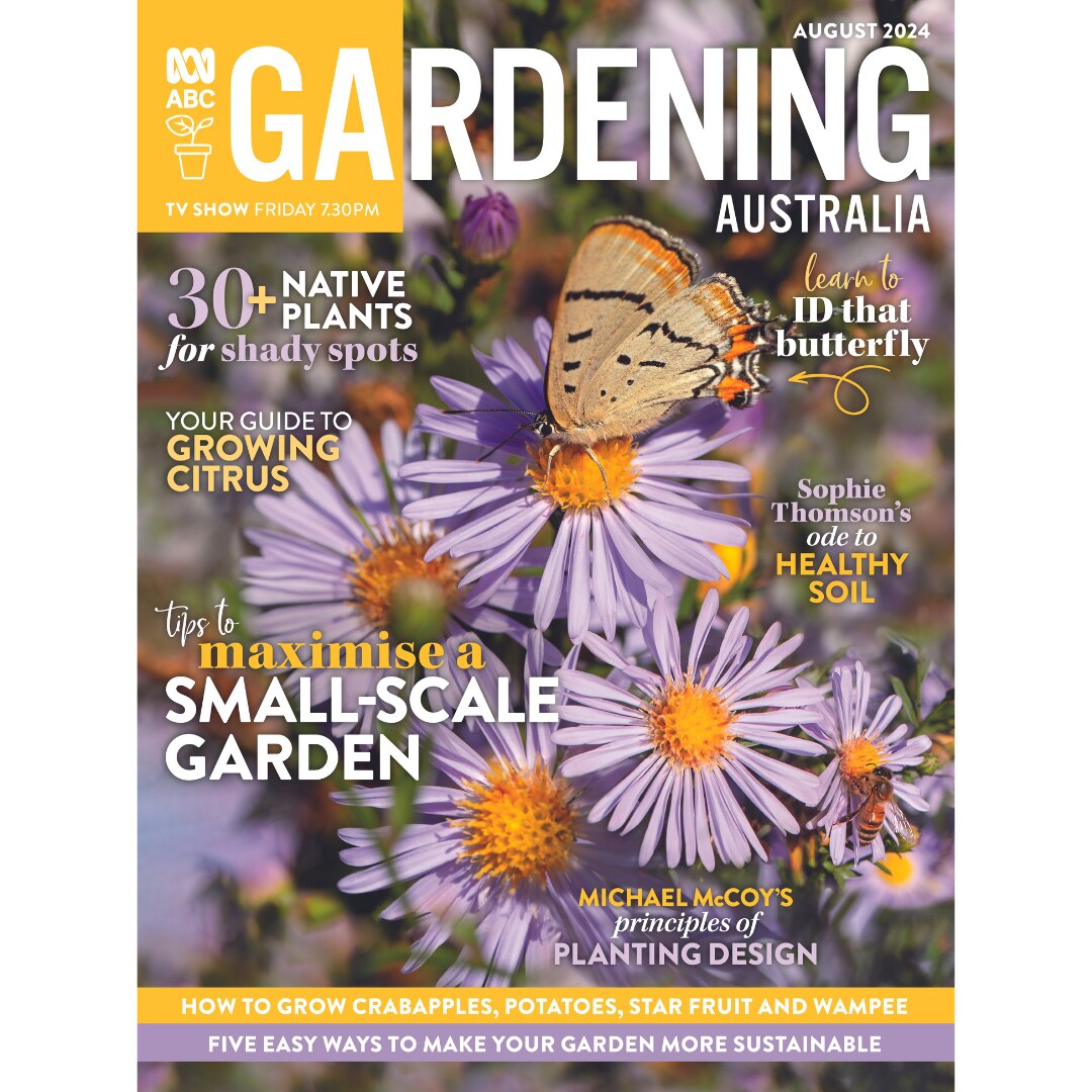 Magazines - ABC Shop