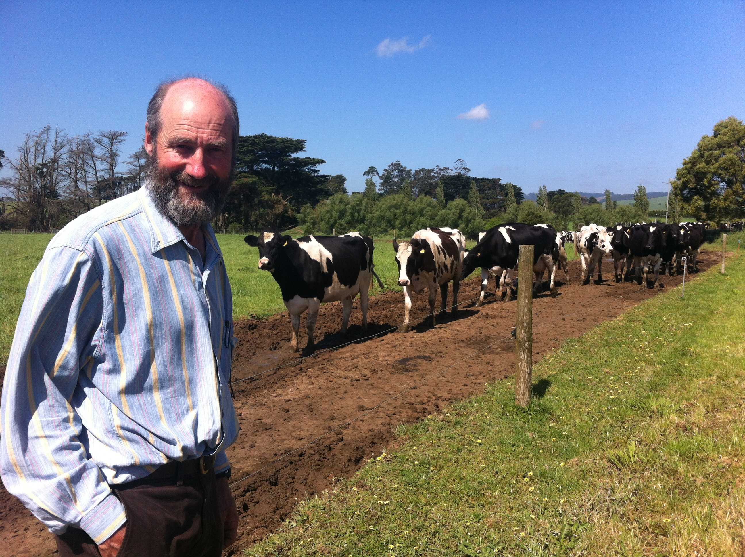 Dairy farmers hope new Chinese free trade agreement will boost export ...