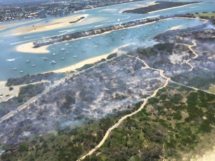 Southport Spit fire: Vegetation blaze that forced Sea World to evacuate ...