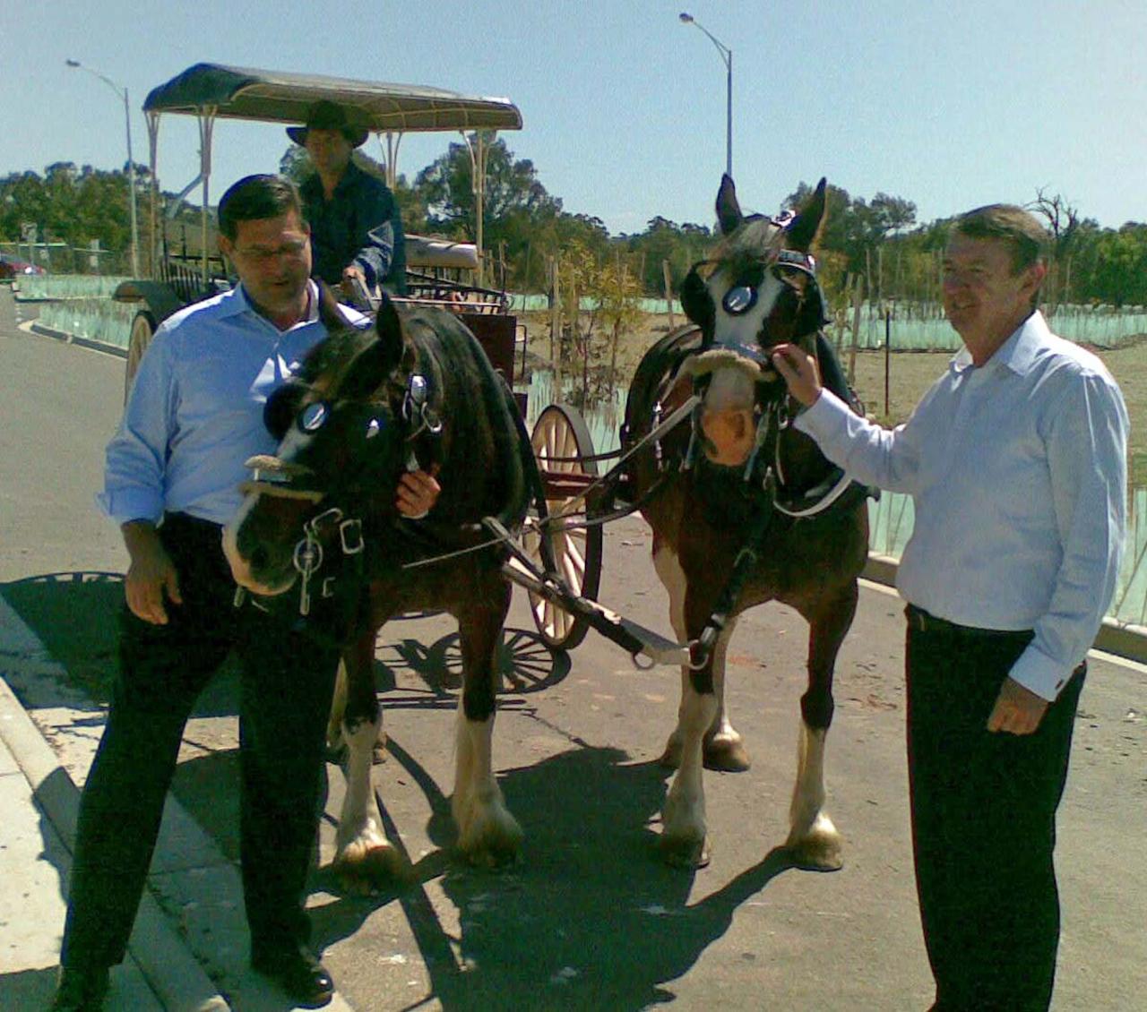 Narelle Graham - ABC News