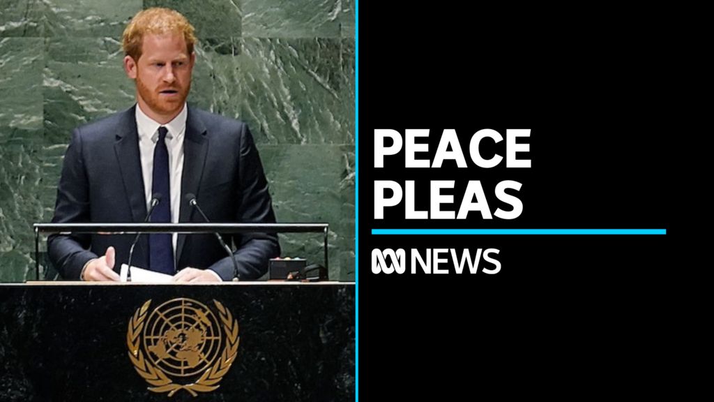 Prince Harry calls for more peaceful world in UN speech - ABC News