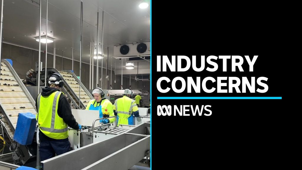 Billy Lights Point is chosen for desalination plant site - ABC News