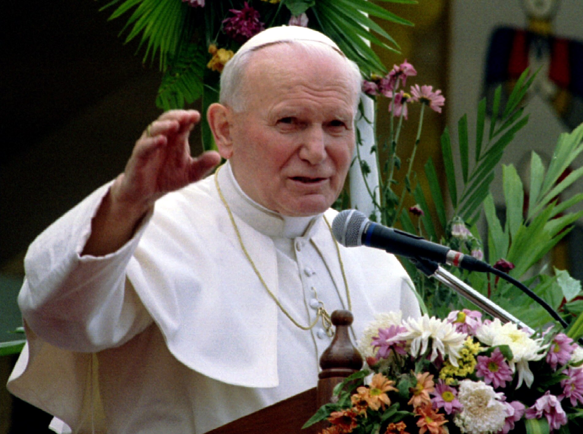 Who will be the new pope? Here's a list of cardinals who could be the ...