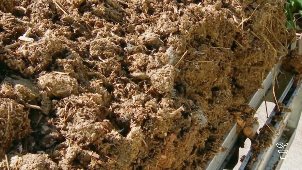 Using Manures - Gardening Australia