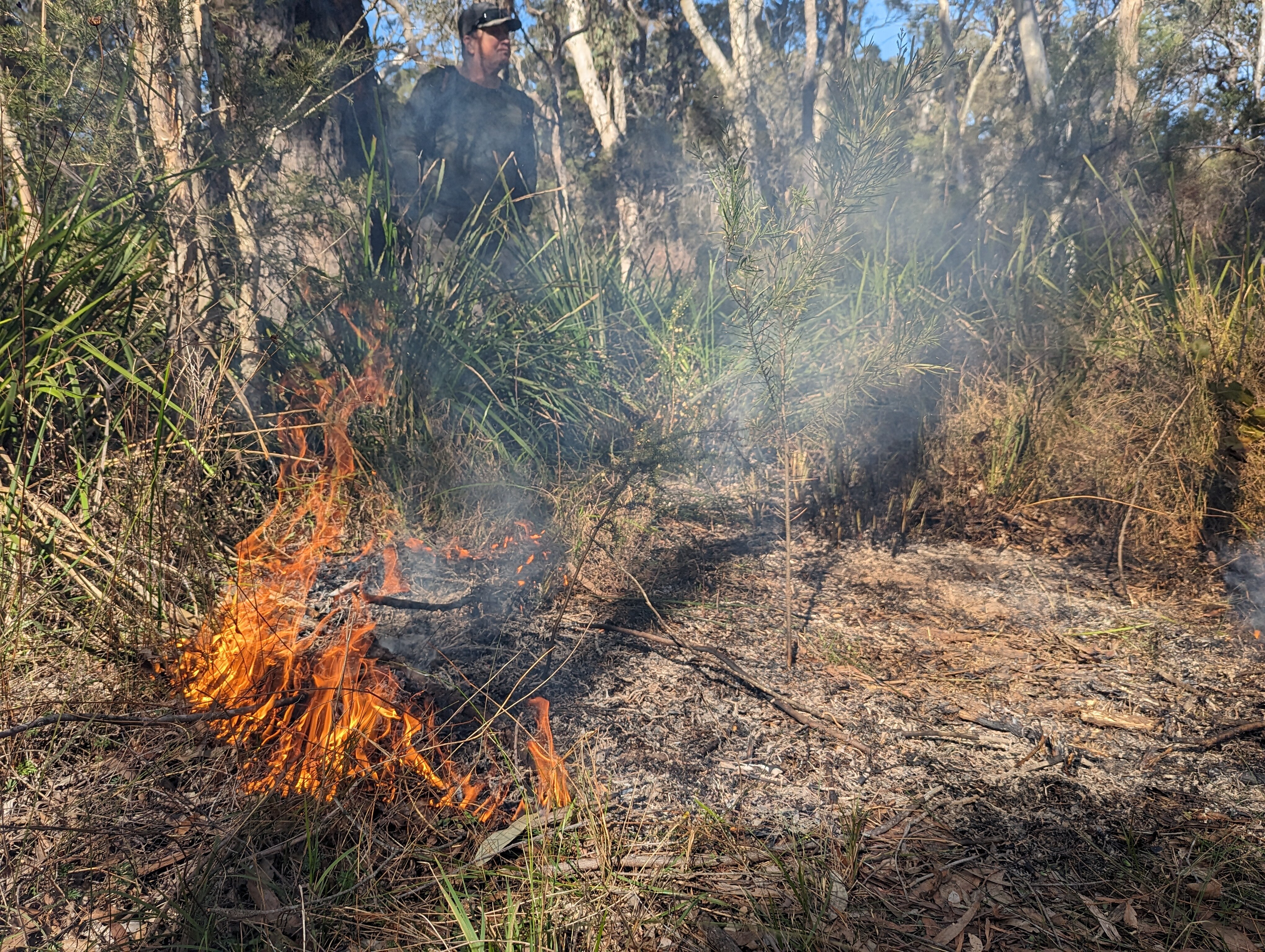 More cultural burns needed ahead of bushfire season, Indigenous ...