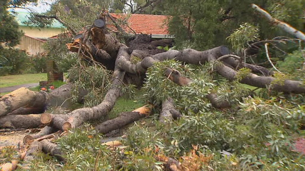 More stormy weather forecast for southern parts of WA including hail ...