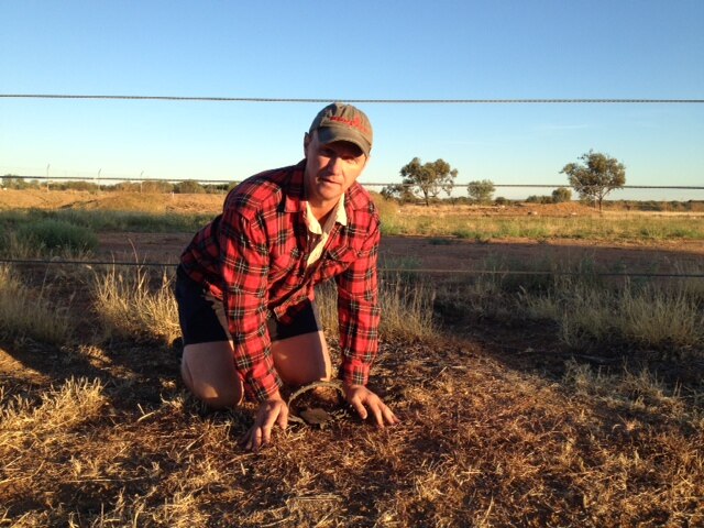 A lesson in effective dog trapping - ABC News