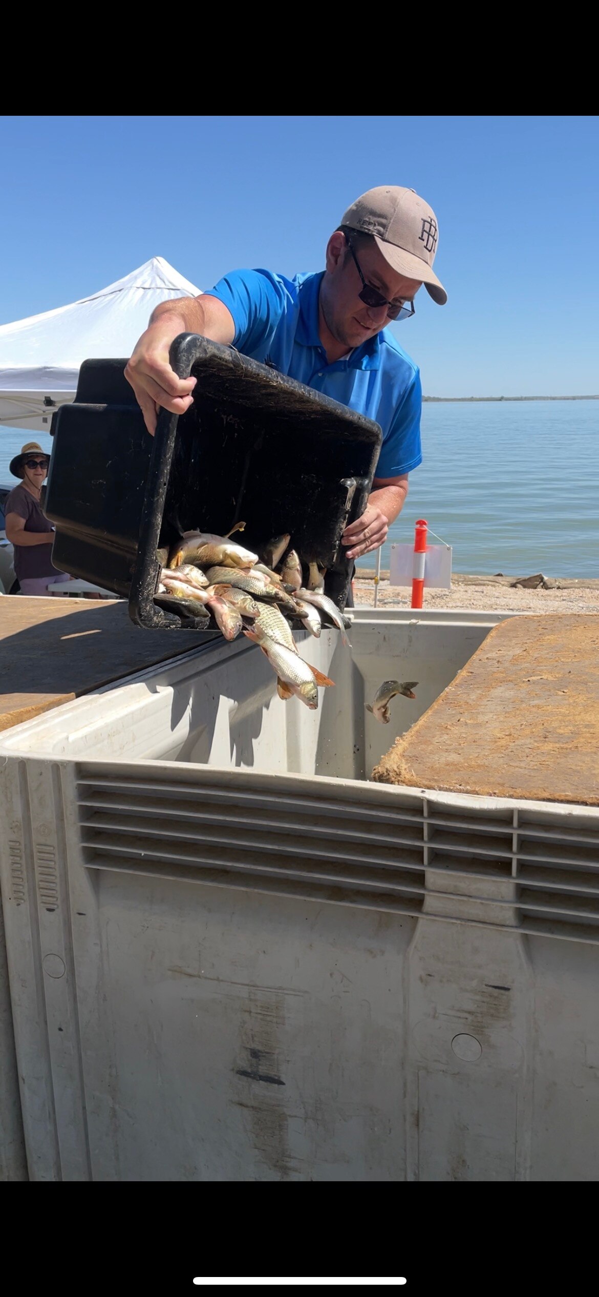 Fishers catch up to 18,000 carp as flooded Murray-Darling Basin sees ...