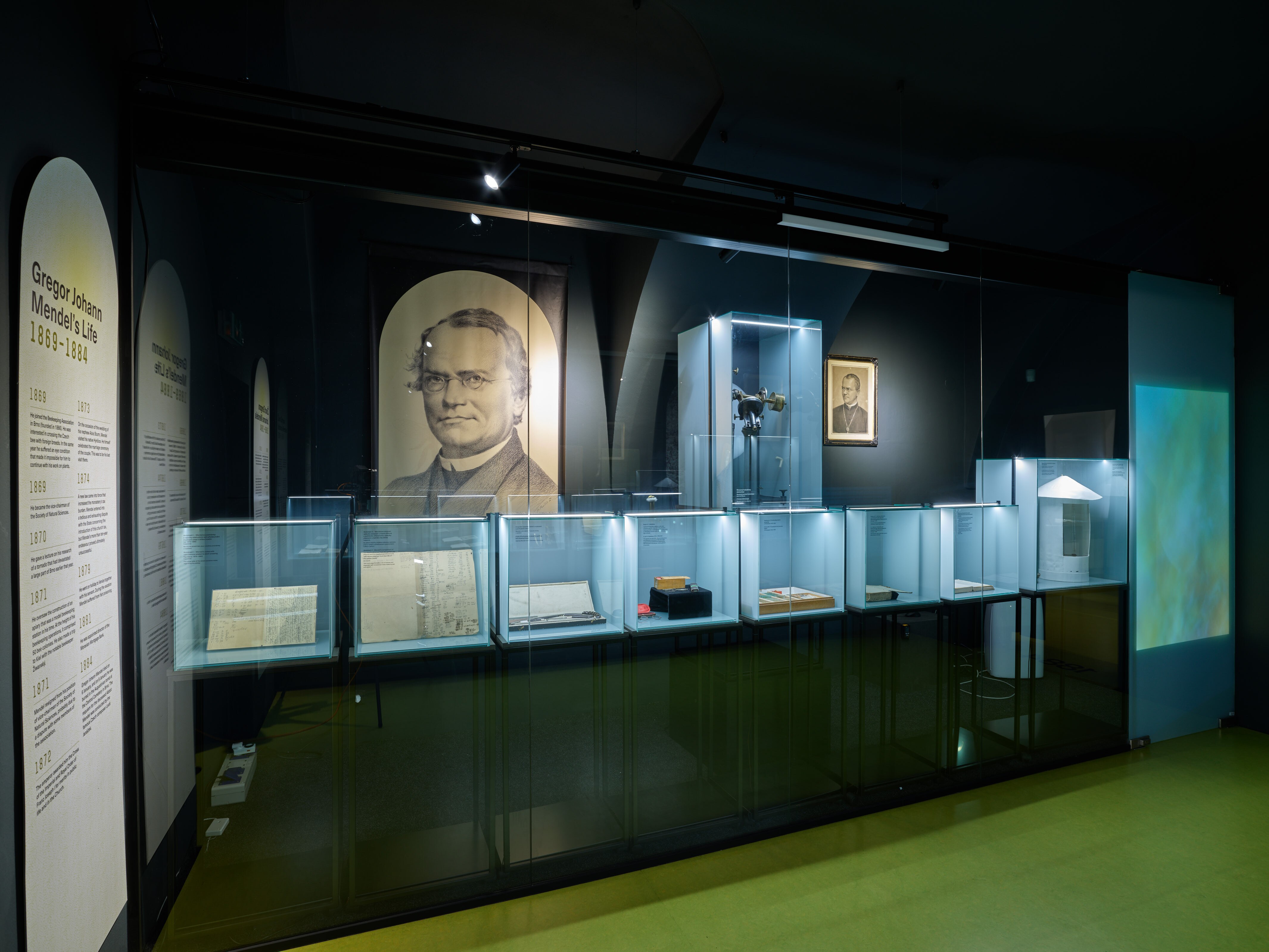 Celebrating Gregor Mendel the father of genetics - ABC listen