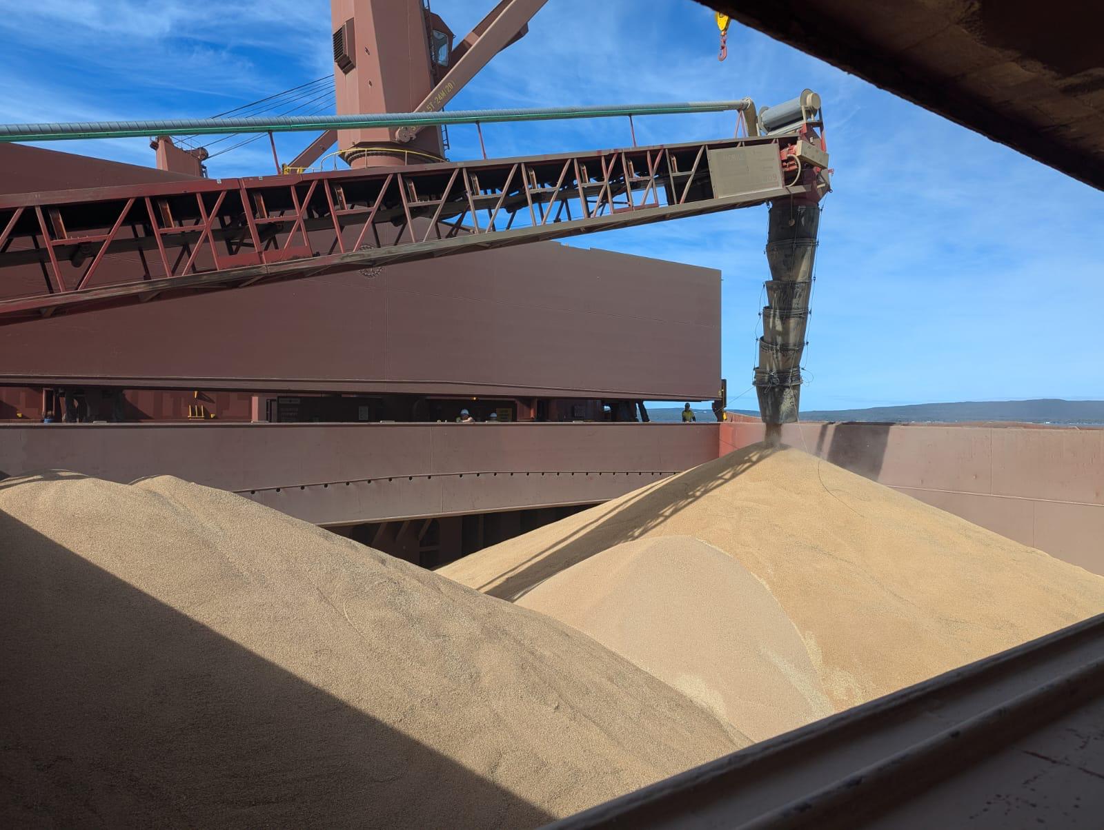 Family-run Commodity Ag launches first shipment of grain in competition ...