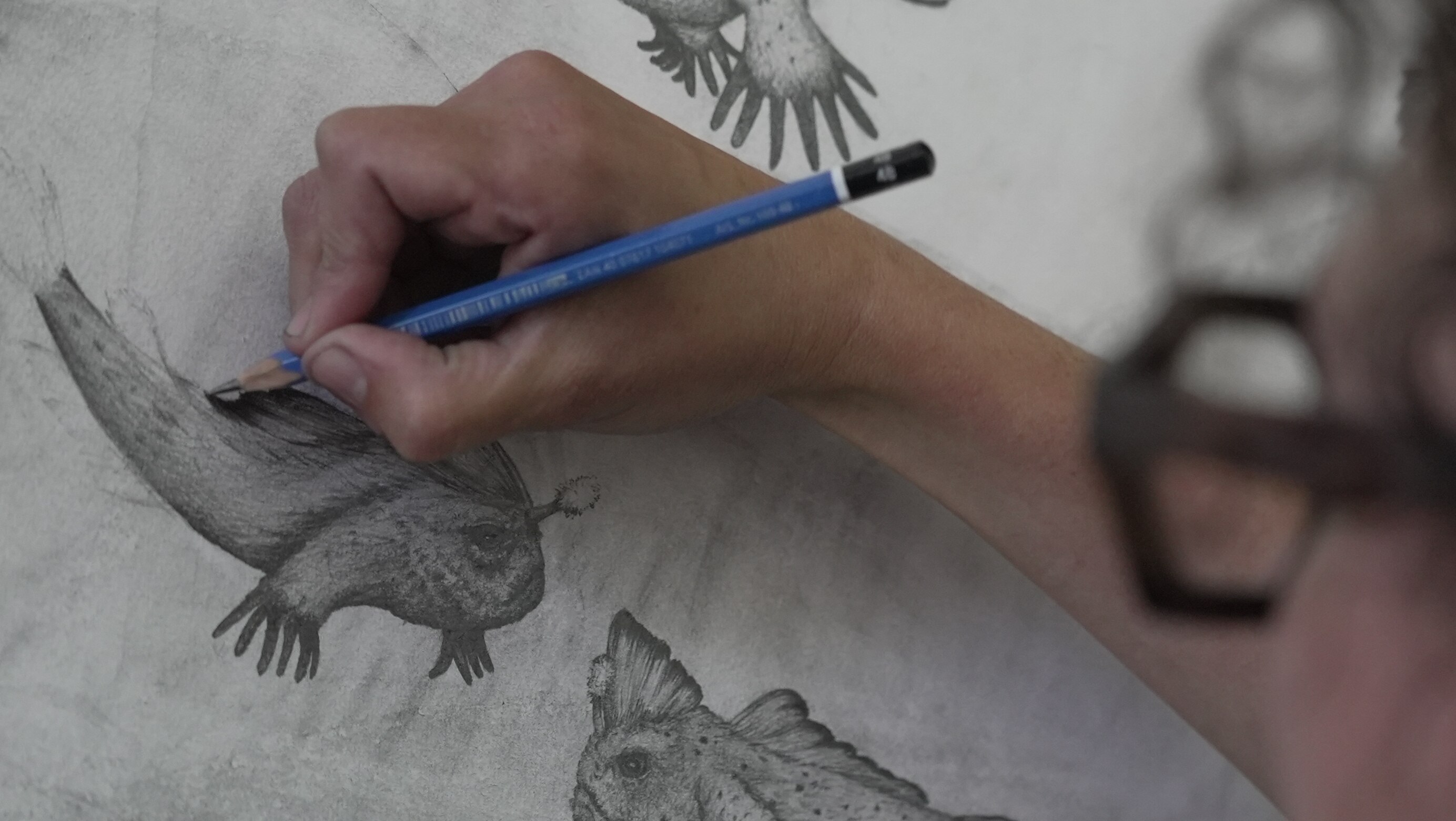Artist erases her drawings of endangered species over four years for ...