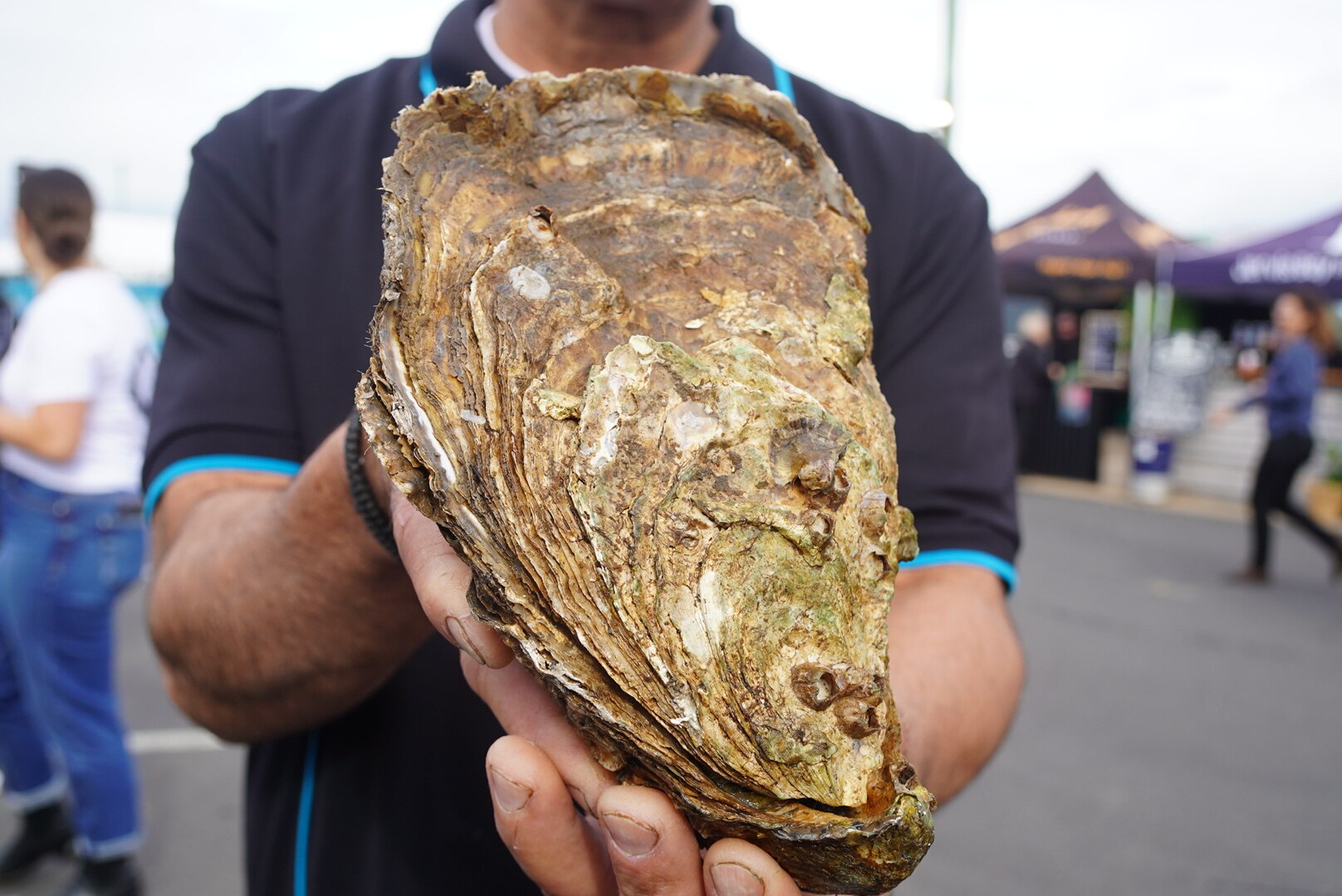 Oyster grower Bernie Connell wins Australian title, waiting on possible ...