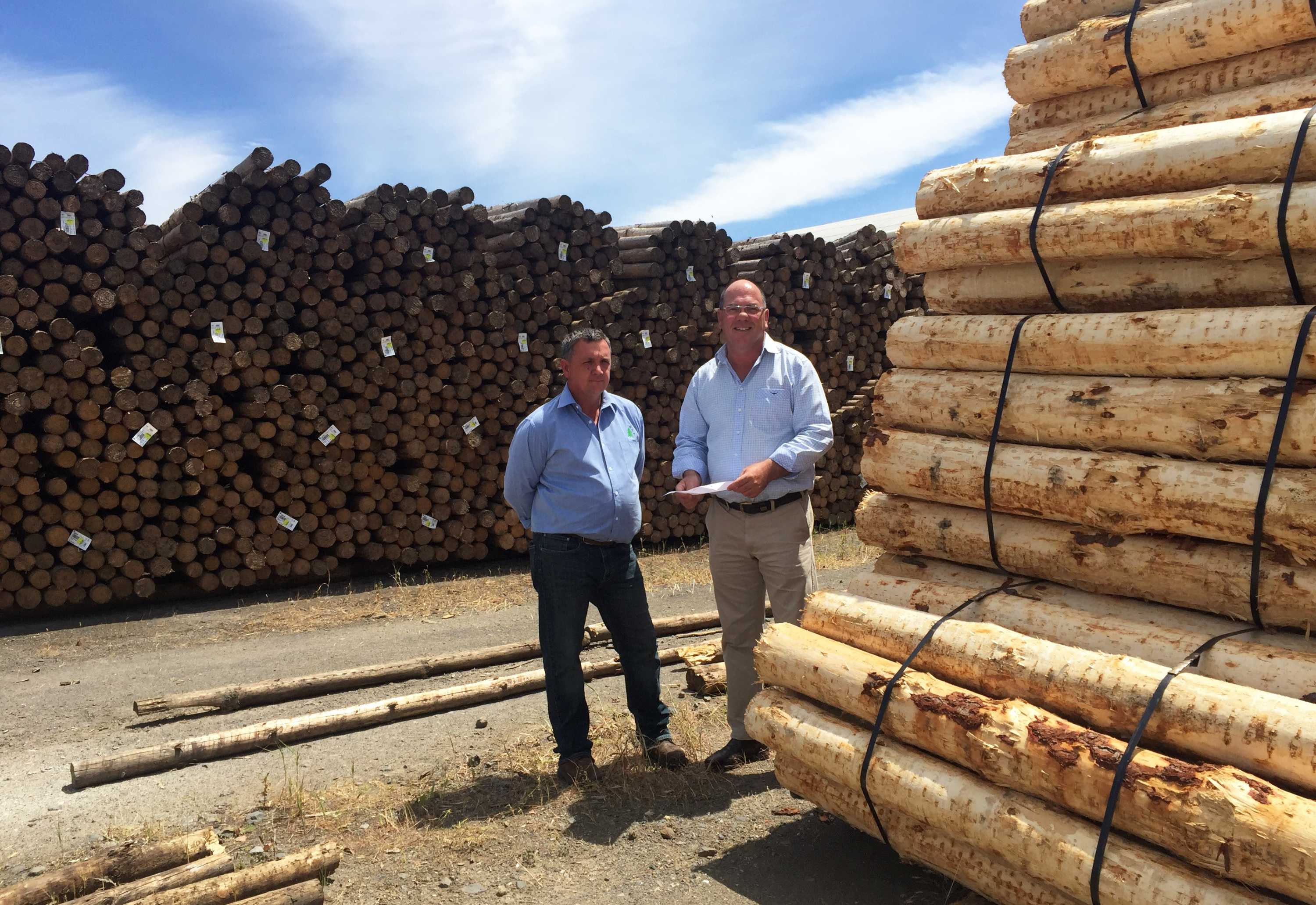 Timber mill to undergo $20 million transformation by Sydney veneer ...