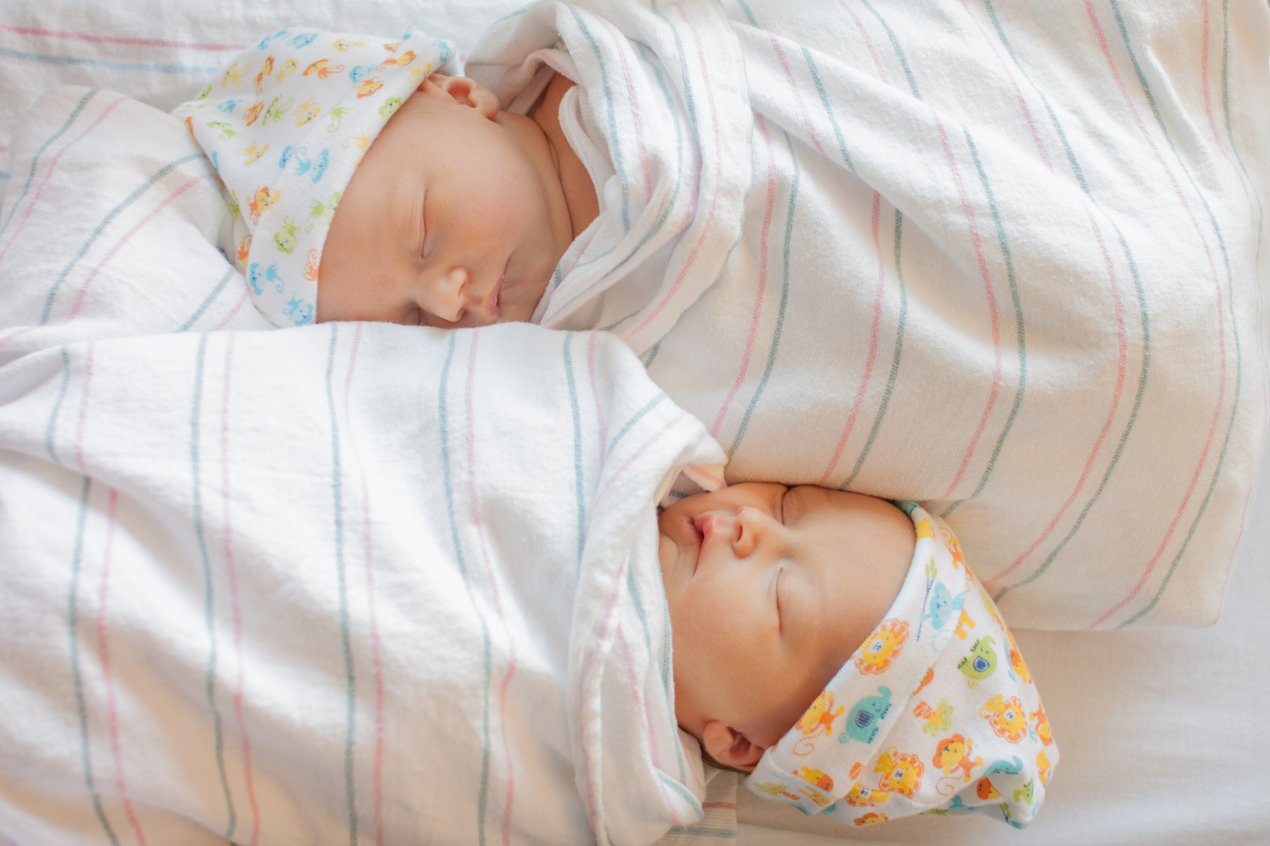 The philosophy of twins - ABC listen