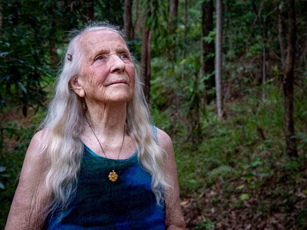 Mama Chai – from champion hurdler to icon of The Channon Market - ABC ...