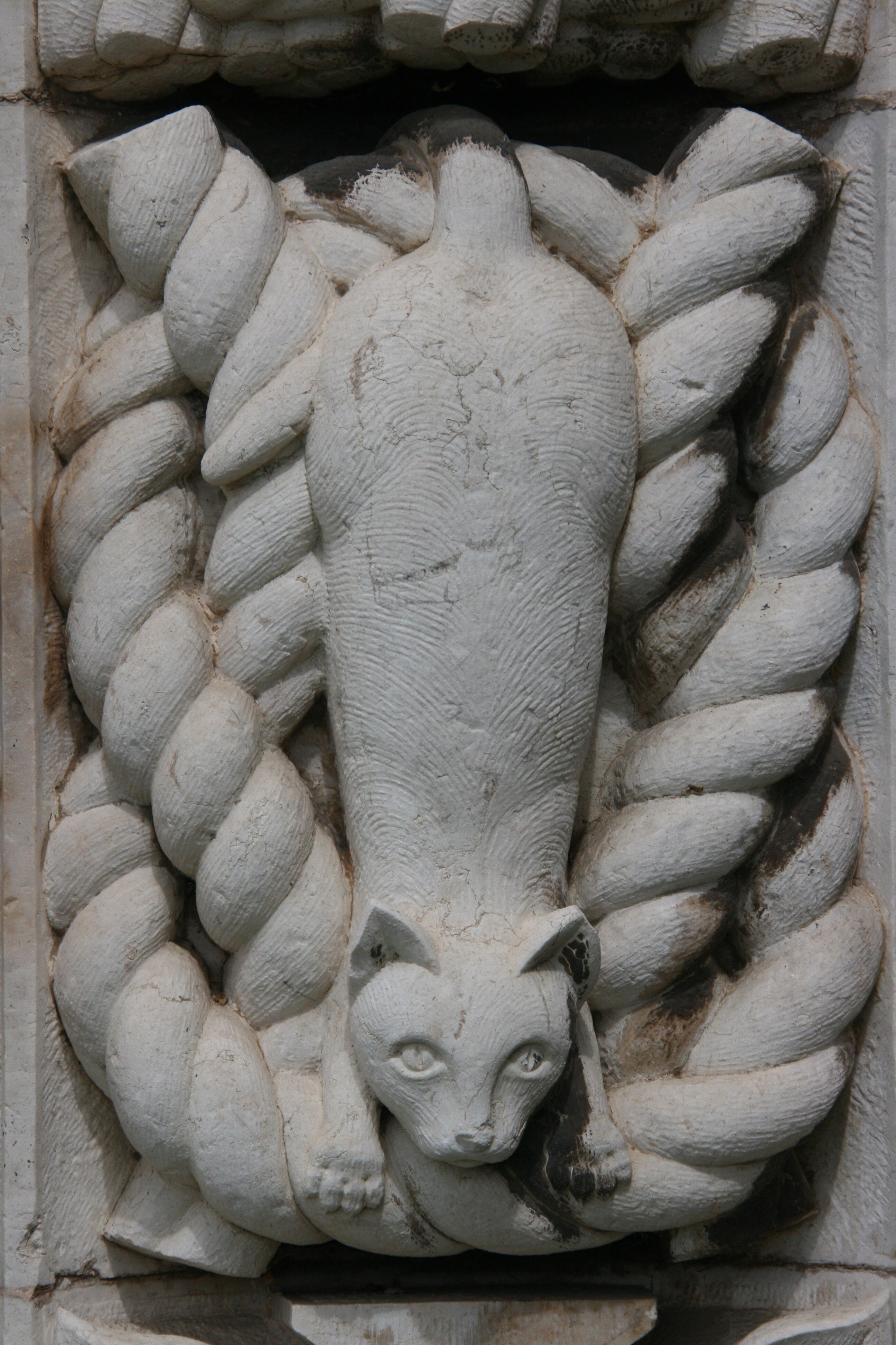 Cat that captured hearts in Sydney-to-Hobart yacht race furthers ...