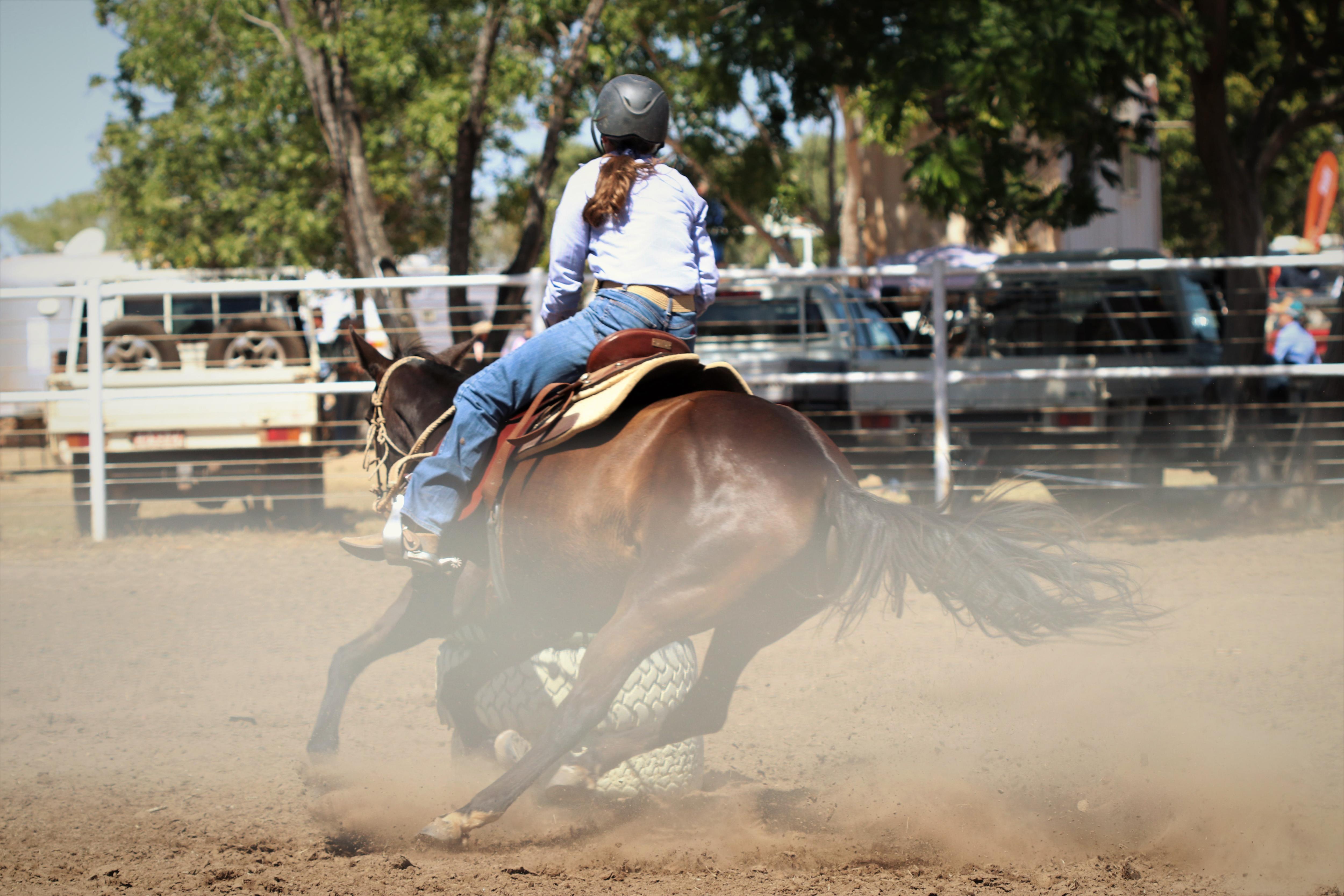 Borroloola Bushman's Carnival celebrates budding campdraft and rodeo ...