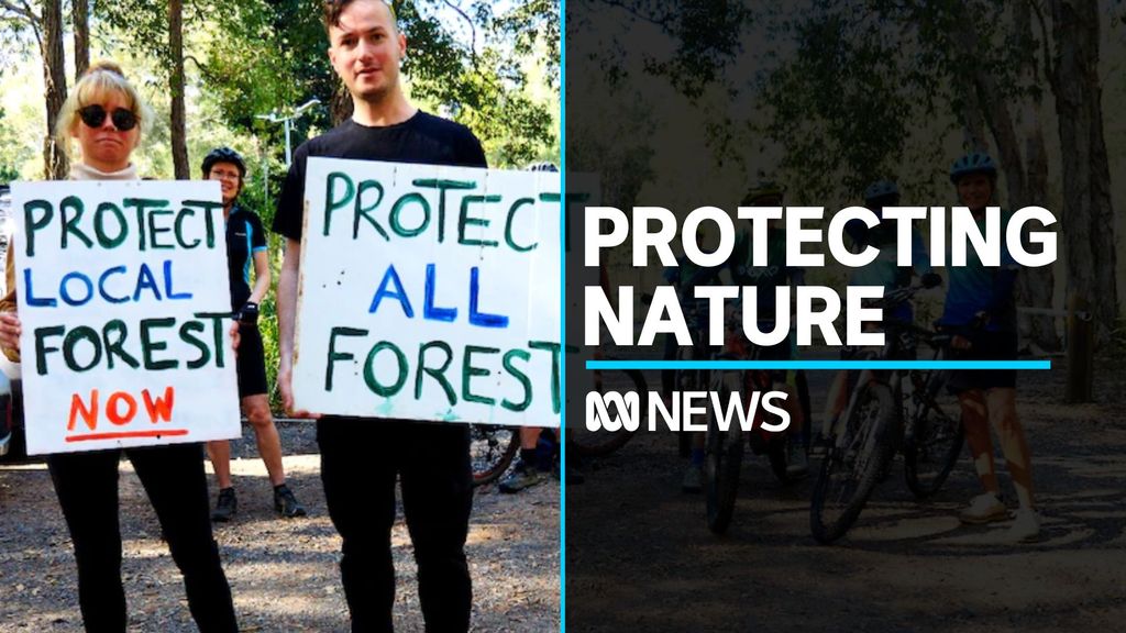 Bikers, environmentalists and locals unite against logging proposal ...