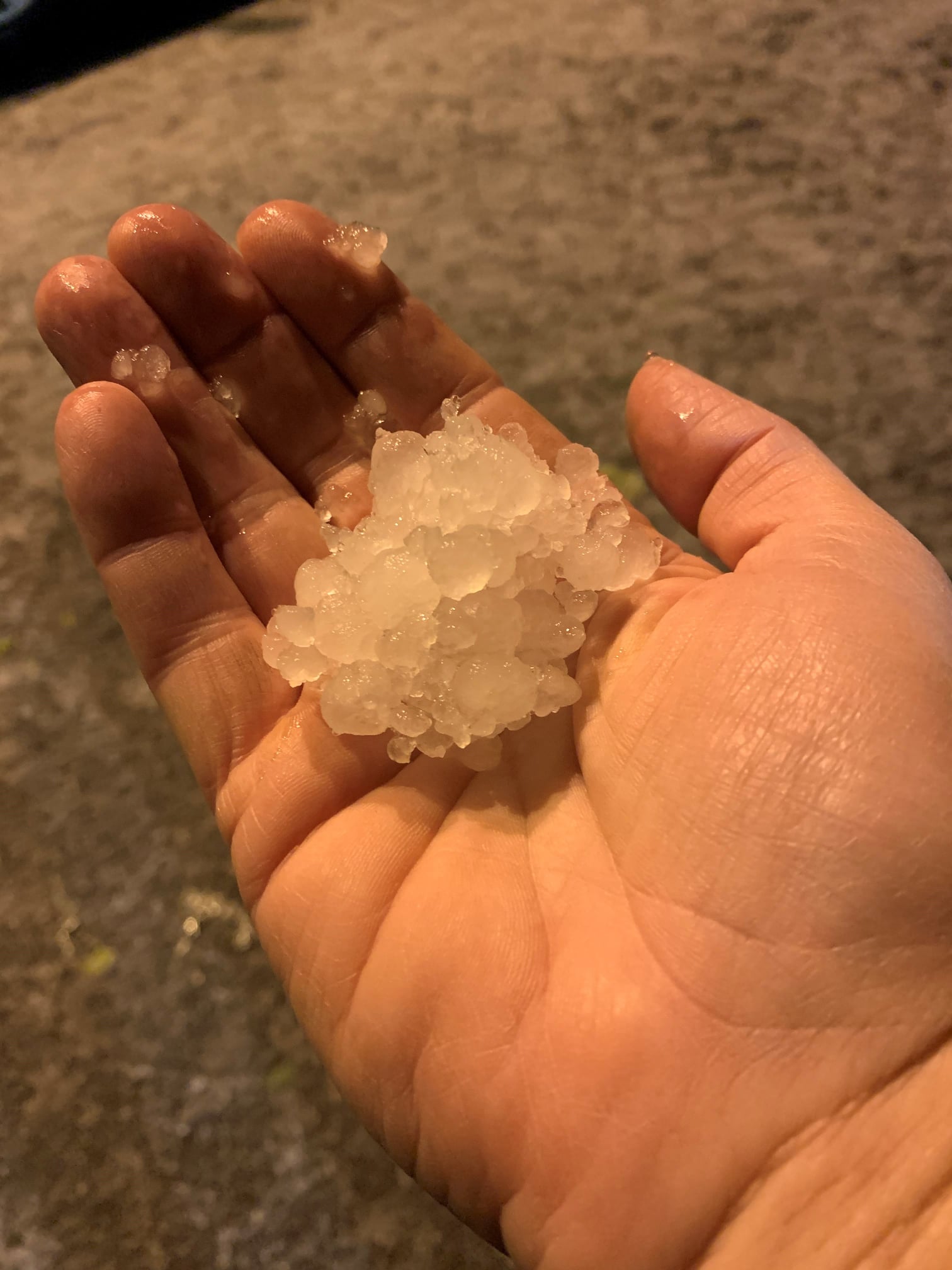 Snow, hail fall on southern WA in coldest day this year - ABC News