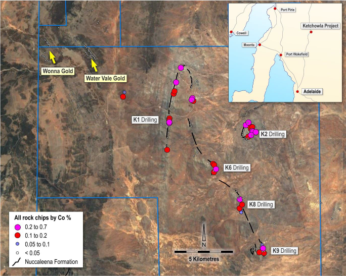 High-grade cobalt discovery hailed as significant milestone for South ...