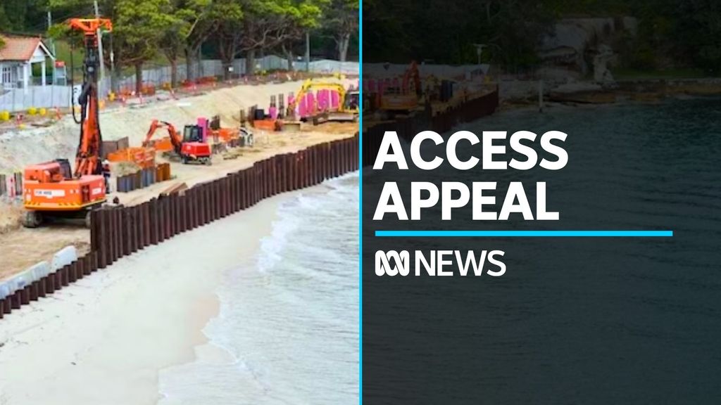 Sydney's Shark Beach set to stay closed for second summer - ABC News