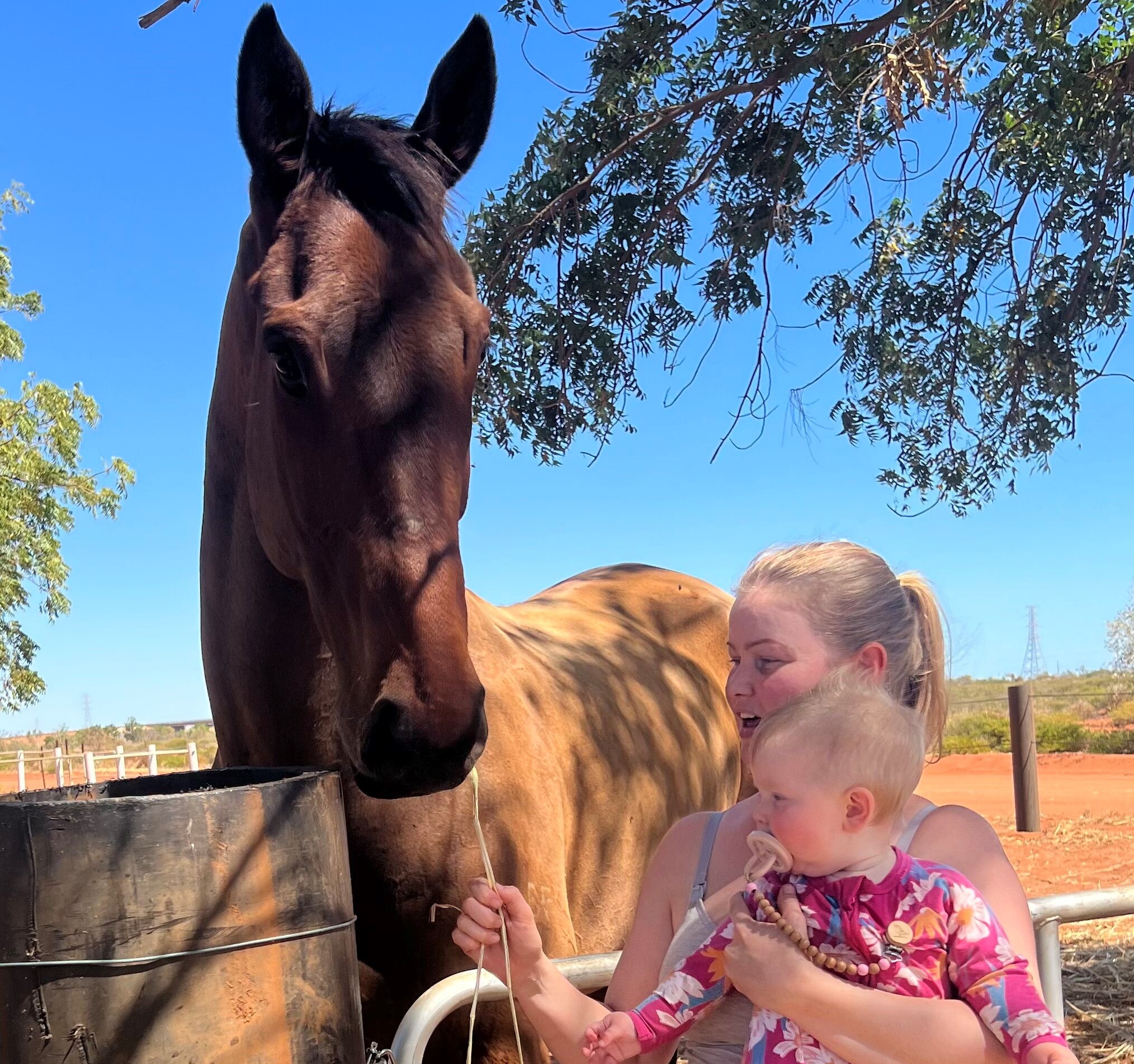A gentle giant who can storm a racetrack to win - ABC listen
