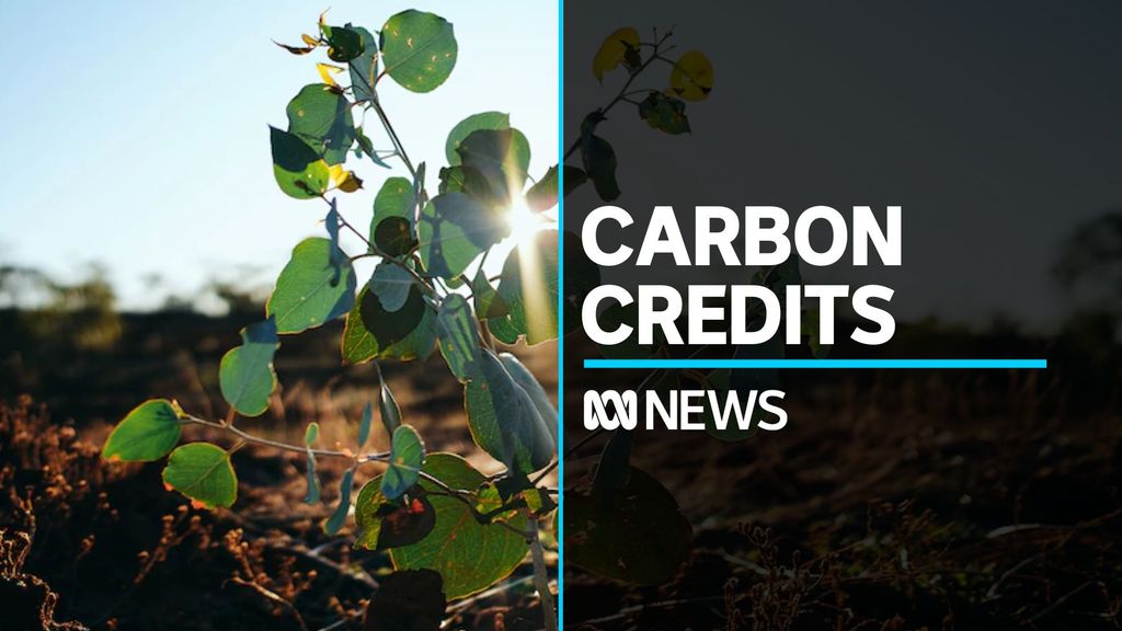 Companies profiting from carbon credit system call for change - ABC News