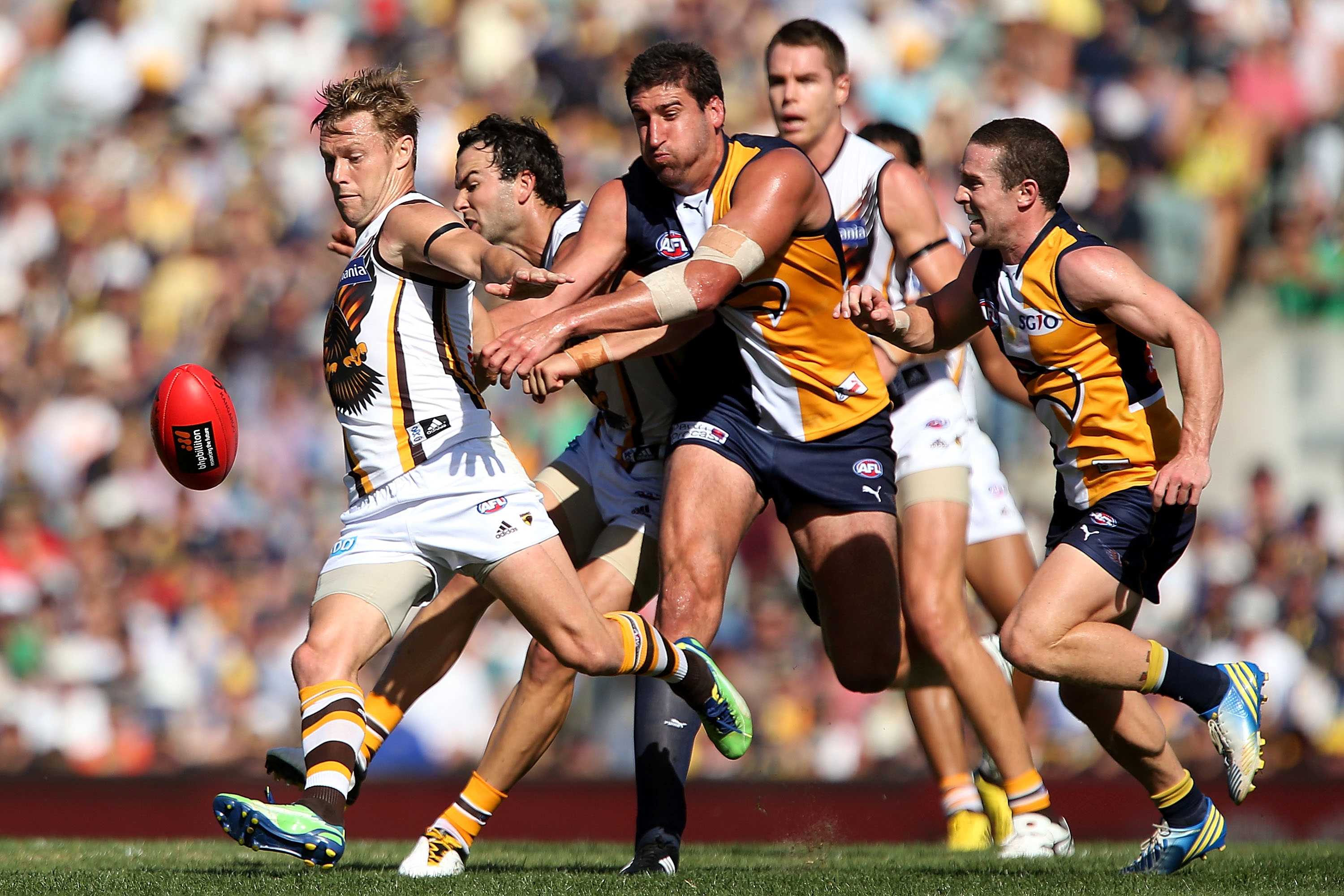 AFL's match review panel clears Hawks' Sam Mitchell and GWS' Jeremy ...