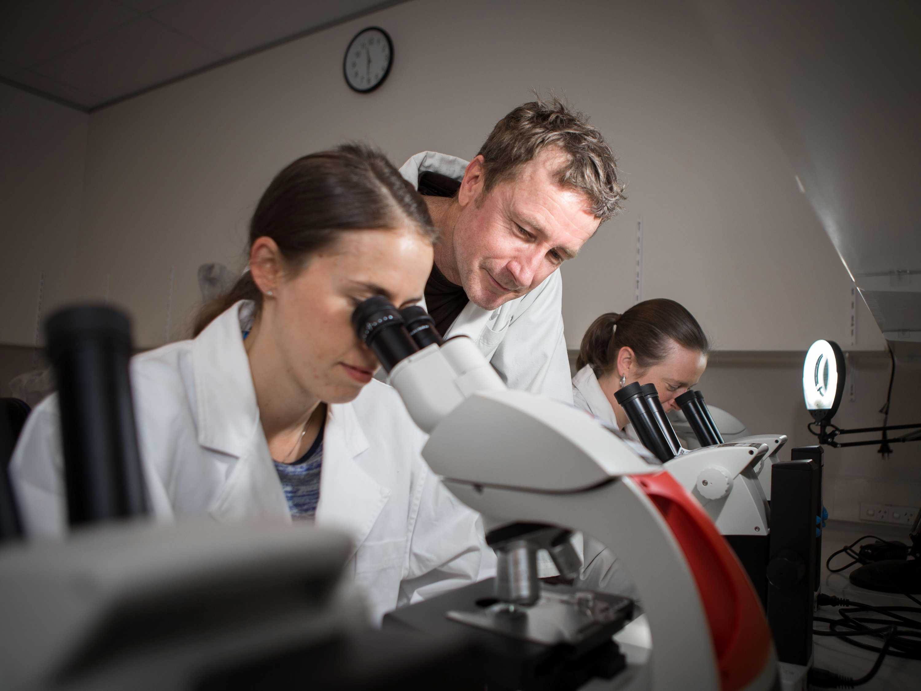 DNA testing by University of Canberra forensics lab to make molecular ...