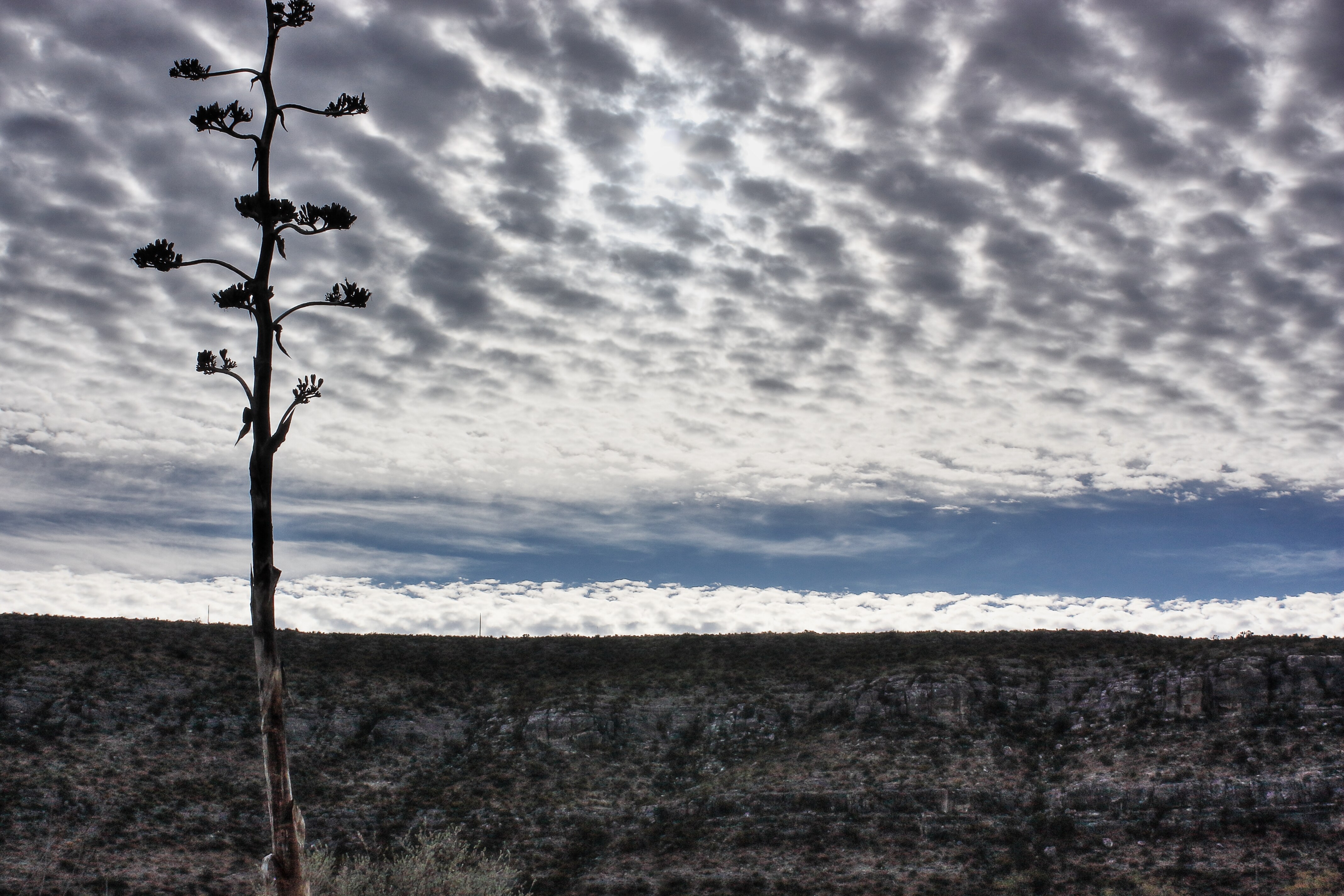 I’ve never seen any cause for hope, but that doesn’t mean I’ve given in ...