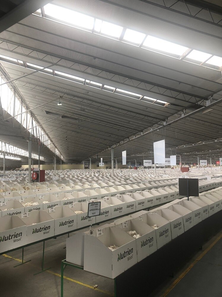 Accredited wool worth the effort for Tasmanian wool growers - ABC listen