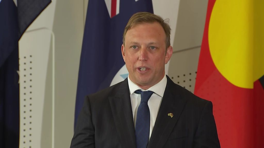 Steven Miles on the Gabba rebuild - ABC News