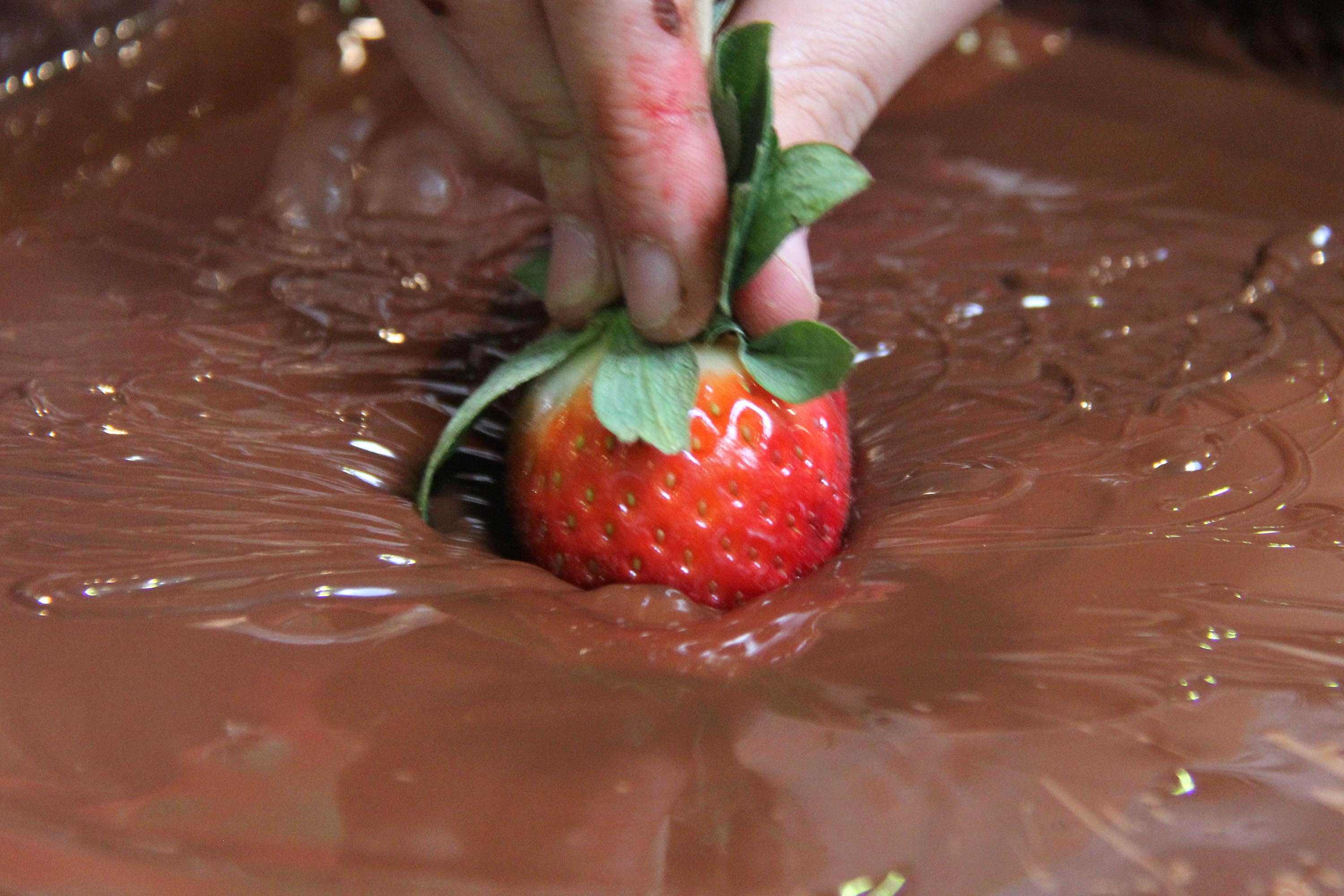 It takes 21 litres of water to produce a small chocolate bar, so how ...
